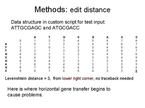String Metrics In Classification Of Mobile Genetic Elements