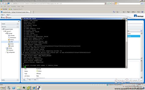 Vmware Vsphere 5 5 Lun Reclaim Unmap