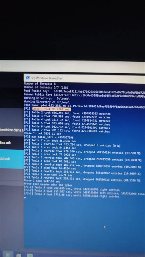Proccess Freezes At Phase 3 · Issue 398 · Madmax43v3rchia Plotter