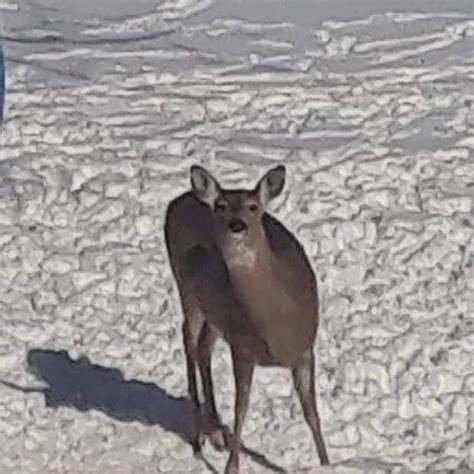 Kay Coy Coy Kay On Threads