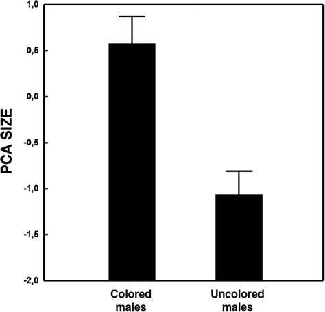 Size Differences Between Males With Sexual Ornamentation And Those Download Scientific Diagram