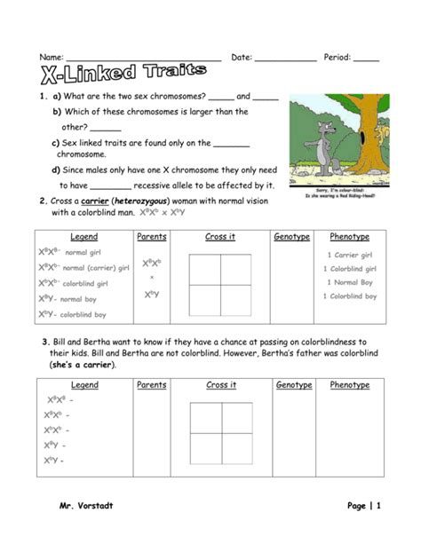 X Linked Traits Worksheet Genetics Practice