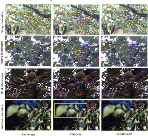 Figure 10 From Yolov5s Fp A Novel Method For In Field Pear Detection Using A Transformer