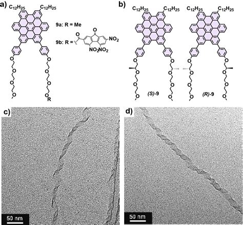 Increasing Dimensionality In Self‐assembly Toward Two‐dimensional Supramolecular Polymers