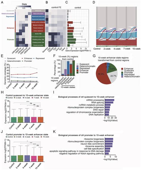 Dynamic Chromatin States During Inflammation‐cancer Transition A