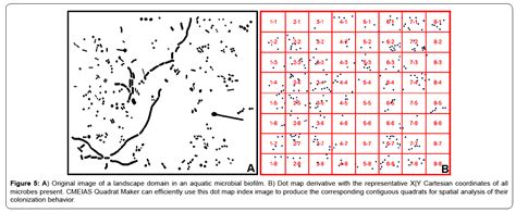 CMEIAS Quadrat Maker A Digital Software Tool To Optimize Grid Dimensions And Produce Quadrat
