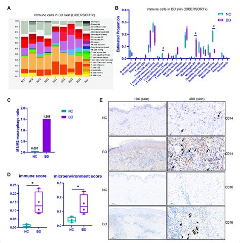 The Immune Cell Subtypes In The Skin Tissue Of Bd A Cibersortx