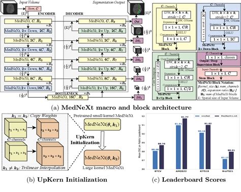 Figure 1 From Mednext Transformer Driven Scaling Of Convnets For