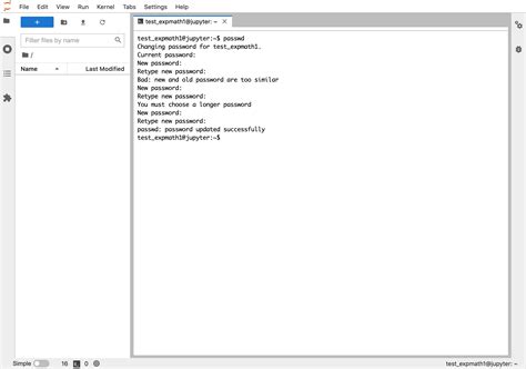 JupyterHub 実験数学