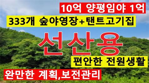 1억 선산용임야 서울근교 양평임야 편안한 경사완만한임야 청정숲 청정계곡 전체계획관리보전관리 선산가능한 동향남향 편안한터 많음 땅과함께새희망을경매공매 나도땅주인