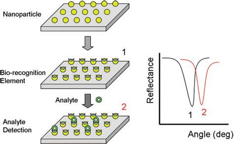 21 Left Configuration Of A Typical Lspr Nanobiosensor Right Download Scientific Diagram