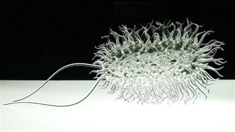 Incredible Glass Microbiology Sculptures Design Swan