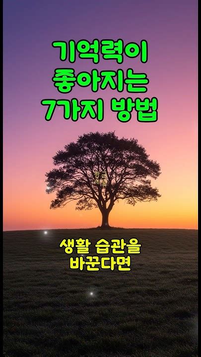 기억력이 좋아지는 7가지 방법 명언 멋진글귀 좋은글 긍정의말 지혜 인생조언 Youtube