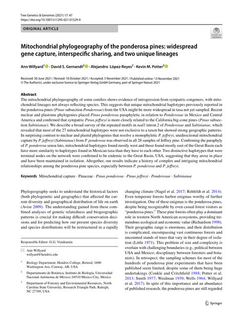 Pdf Mitochondrial Phylogeography Of The Ponderosa Pines Widespread