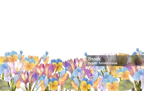 크로커스와 팬시 플라워 가든 화단에 대한 스톡 벡터 아트 및 기타 이미지 화단 꽃 식물 삼색제비꽃 Istock