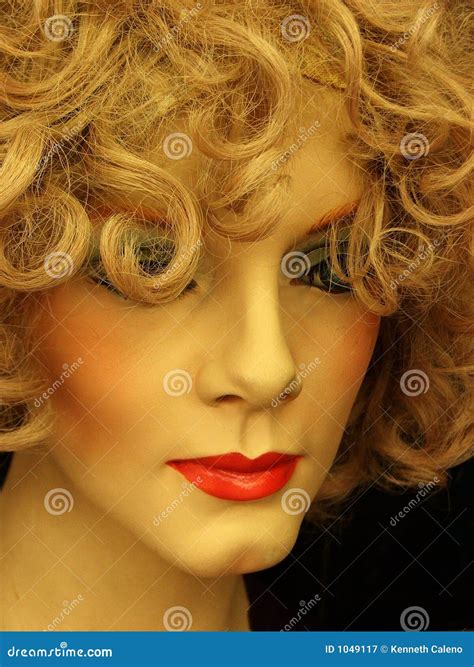 Store Dummy Stock Image Image Of Beauty Fashion Hair 1049117