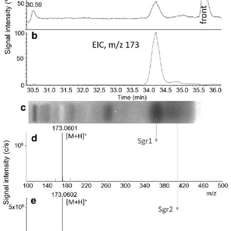 Scanning Hptlc Dart Hrms Of The Major Bioactive Zones Of S Scanning Hptlc Dart Hrms Of The Major Bioactive Zones Of S