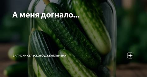 А меня догнало... | Записки сельского джентльмена | Дзен
