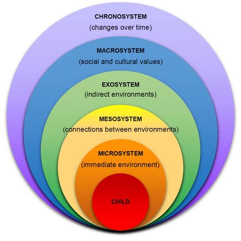 Systems Theory In Social Work Examples Uses And Key Concepts