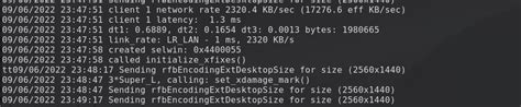 super l is not interpreted correctly · issue 193 · libvnc x11vnc · github
