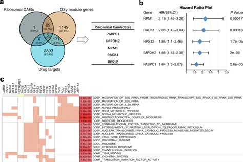 In Depth Inference Of Transcriptional Regulatory Networks Reveals Npm1