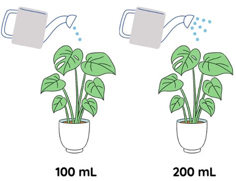 Validity Accuracy And Reliability A Comprehensive Guide Science Ready