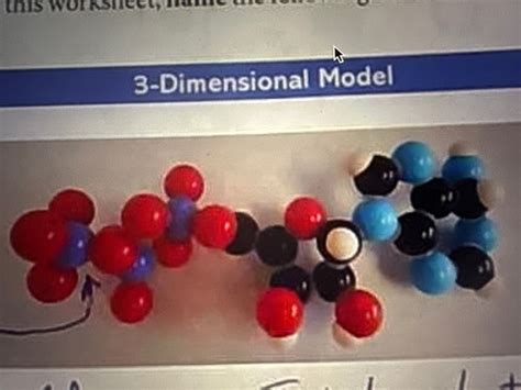 Molecular Identification Flashcards Quizlet