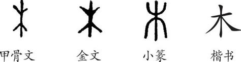 《木》字义，《木》字的字形演变，小篆隶书楷书写法《木》 说文解字 品诗文