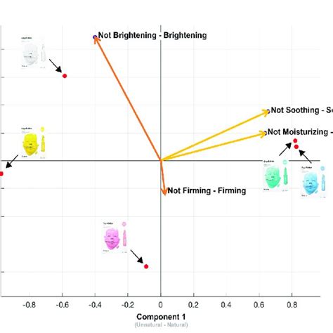 2d Biplot Interpretation Based On Variable Similarity In Contrast