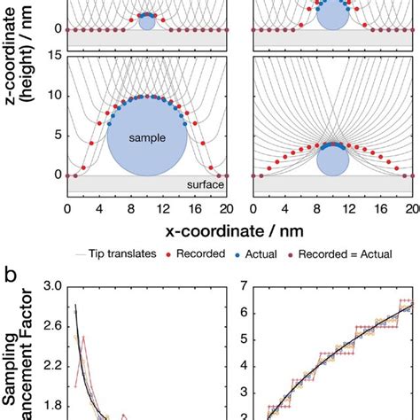 Afm Image Deconvolution By The Erosion Algorithm Corrects For Dilation