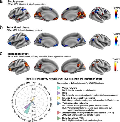 Fmri Activation Revealing The Dmns Involvement In The Current