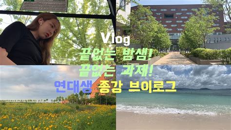 Vlog 끝없는 밤샘과 과제📚 다사다난했던 1학년 1학기 종강 브이로그 연대생 종강 성적 발표날 기념😱 영어회화