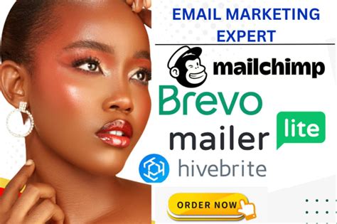 Setup Mailchimp Brevo Hivebrite Omnisend And Mailerlite By Phoebe Anne Fiverr