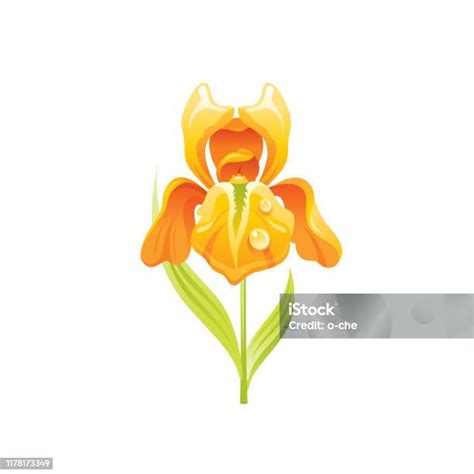 홍 채 꽃 꽃 아이콘입니다 현실적인 만화 귀여운 식물 꽃 봄 여름 정원 기호입니다 인사말 카드 T 셔츠 인쇄 장식 디자인에 대한 벡터 일러스트레이션 흰색 배경에 격리 0명에