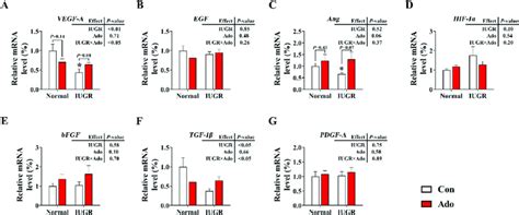 Real Time Pcr Mrna Expression Analysis Of Angiogenesis Related Factors