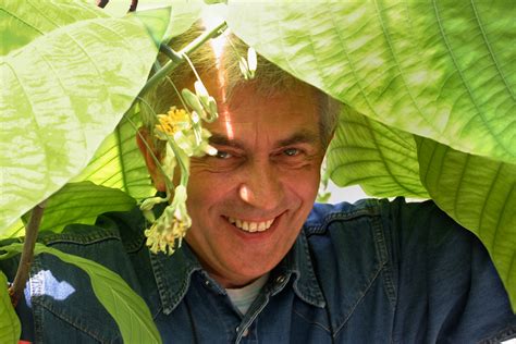 Passiflora Flos Passionis Fiore Della Passione Di M Vecchia