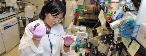 Introduction To PhD Research Rehoboth Academic Services