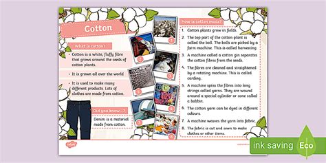 Cotton Fact File Materials Ks Teacher Made Twinkl