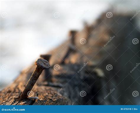 Rusty Nails Stock Photo Image Of Still Rusty Nail Rust