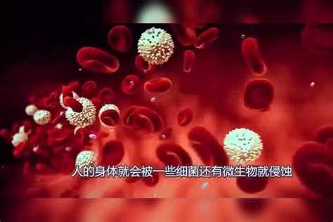 人死后会去什么地方？从科学的角度看待死亡，你敢相信吗？ 角度 科学 死亡