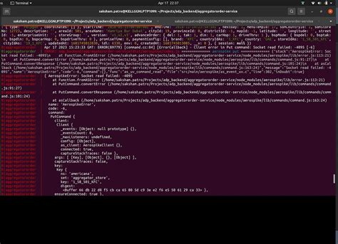 Facing Aerospikeerror Socket Read Failed 4095 Issue On Put Command