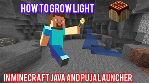HOW TO GROW LIGHT IN MINECRAFT JAVA AND PojavLauncher In HINDI YouTube