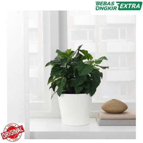 Promo Inspirasi Pot Tanaman Pot Bunga Keramik Cantik Ukuran Tinggi Cm Putih Diskon Di Seller
