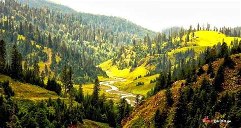 საინფორმაციო გვერდი გურიის მომავალი ეროვნული პარკის შესახებ Home