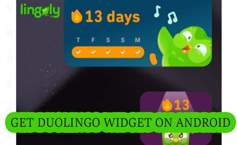 How To Add Duolingo Widget To Lock Screen November Lingoly Io