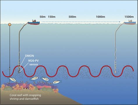 Schematic Of The Data Collection Transect Acoustic Recordings Were