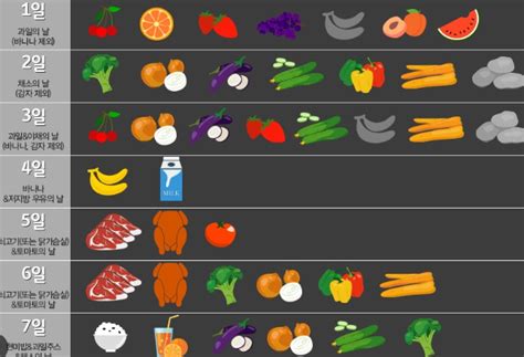 균형 잡힌 식사 건강한 식단 구성을 위한 가이드