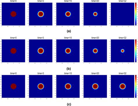 Snapshots Of The Interface Evolution Simulated By Using The L1 Cn