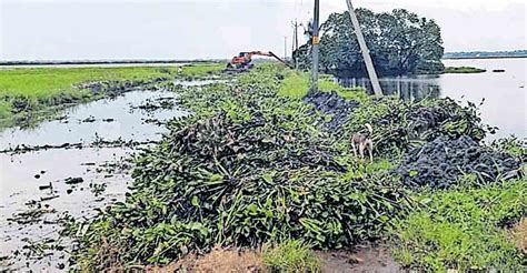 മുക്കം വാലയിൽ ബണ്ട് റോഡ് നിർമാണം തുടങ്ങി