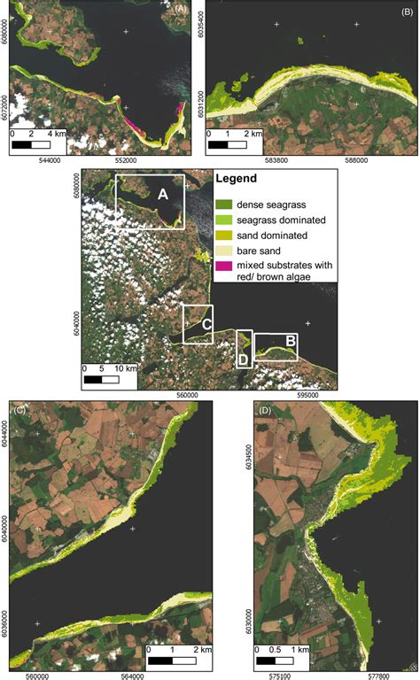Random Forest Classification Result Of Coastal Benthic Habitats Based